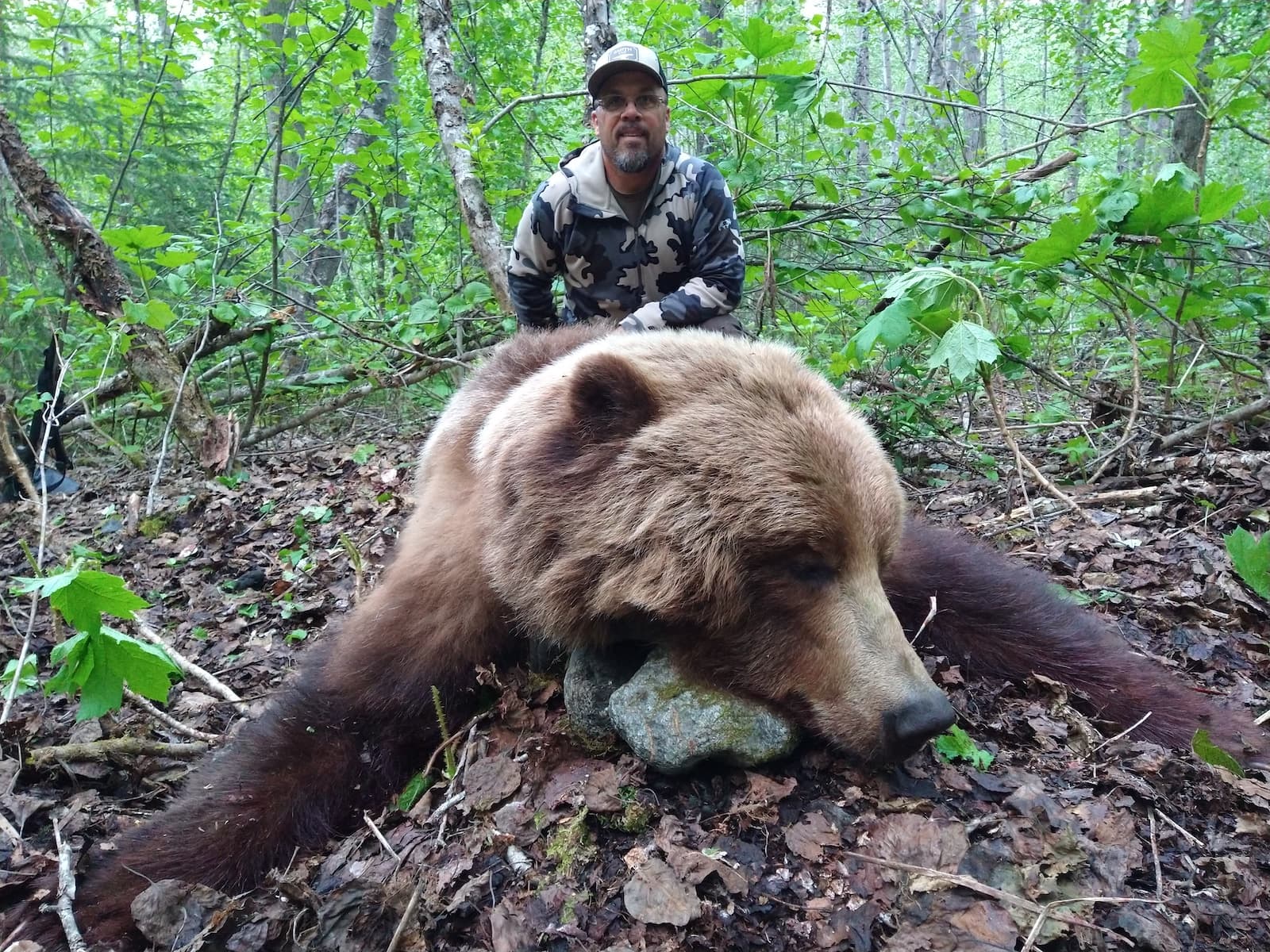 2023 Alaska Brown Bear - Alaska Fair Chase Guiding